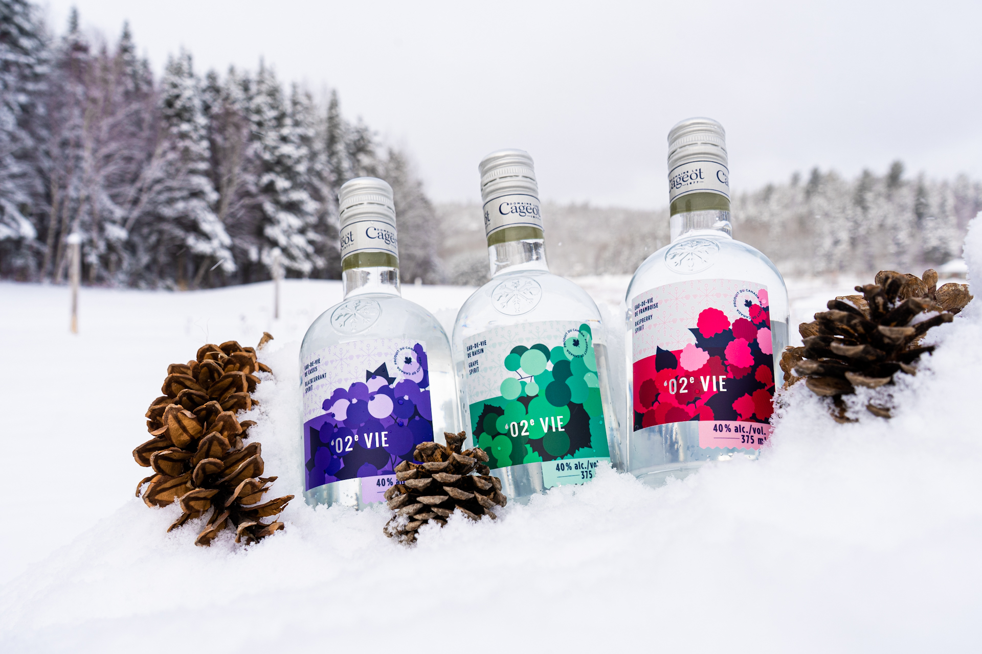 Domaine le Cageot | Vignoble et alcools de petits fruits