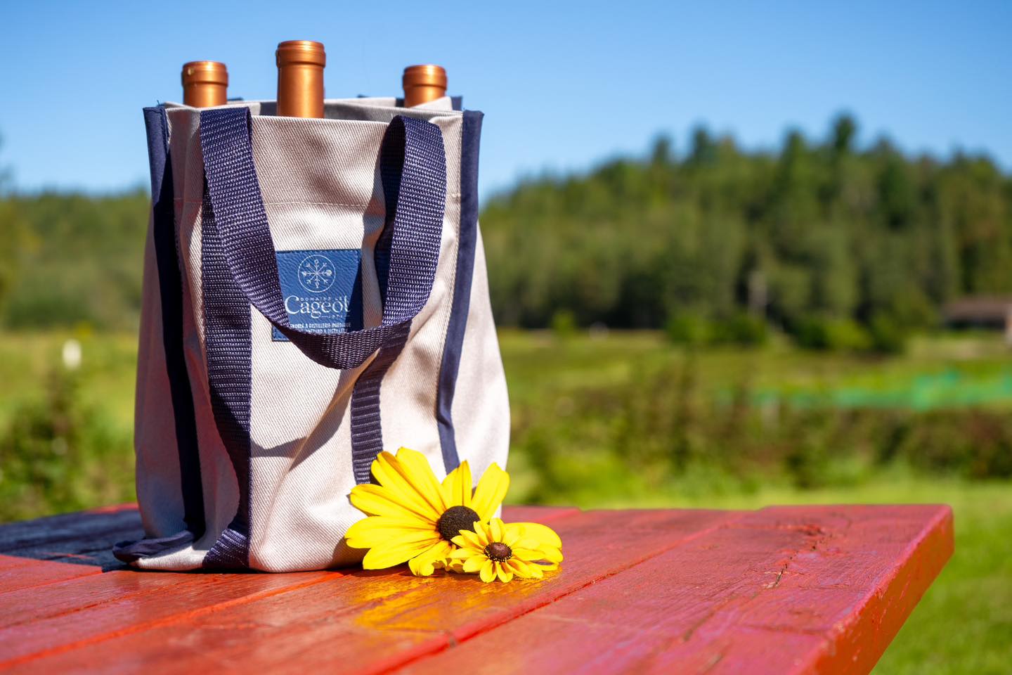 8 incontournables à faire au Saguenay | Domaine le Cageot